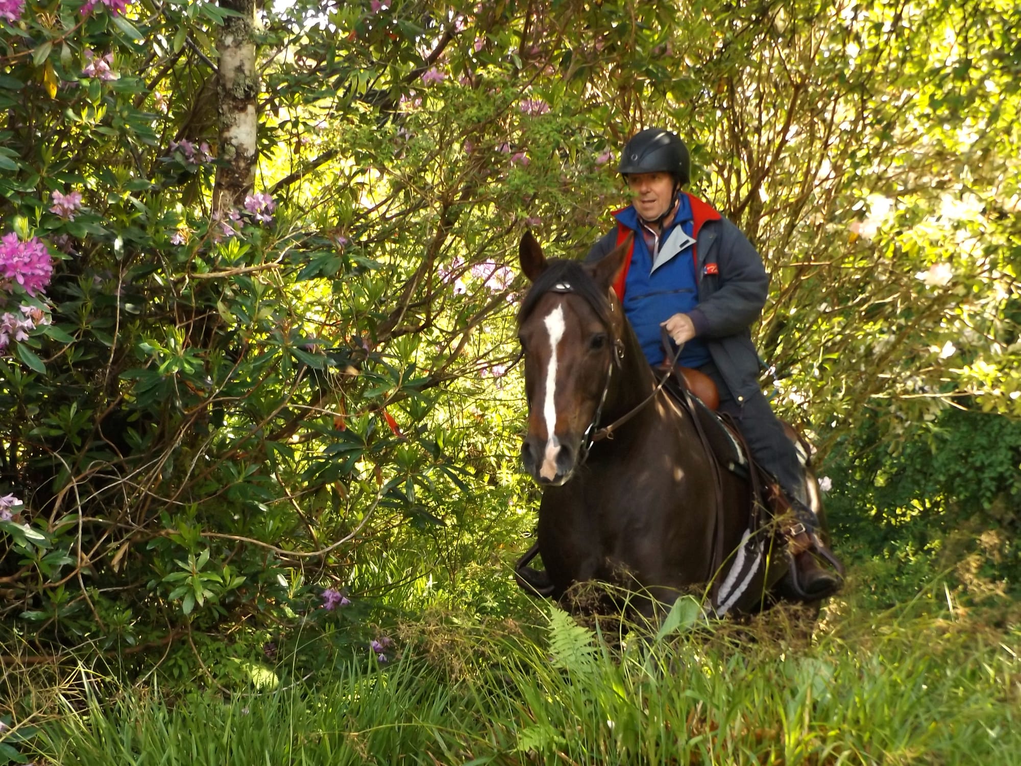 Lunga Riding Stables