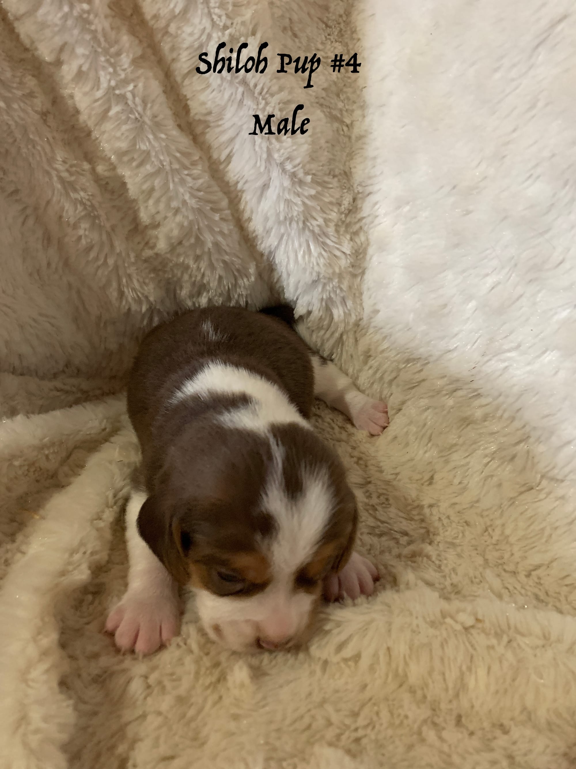 RVR/RDInc. - RAFTER V RANCH