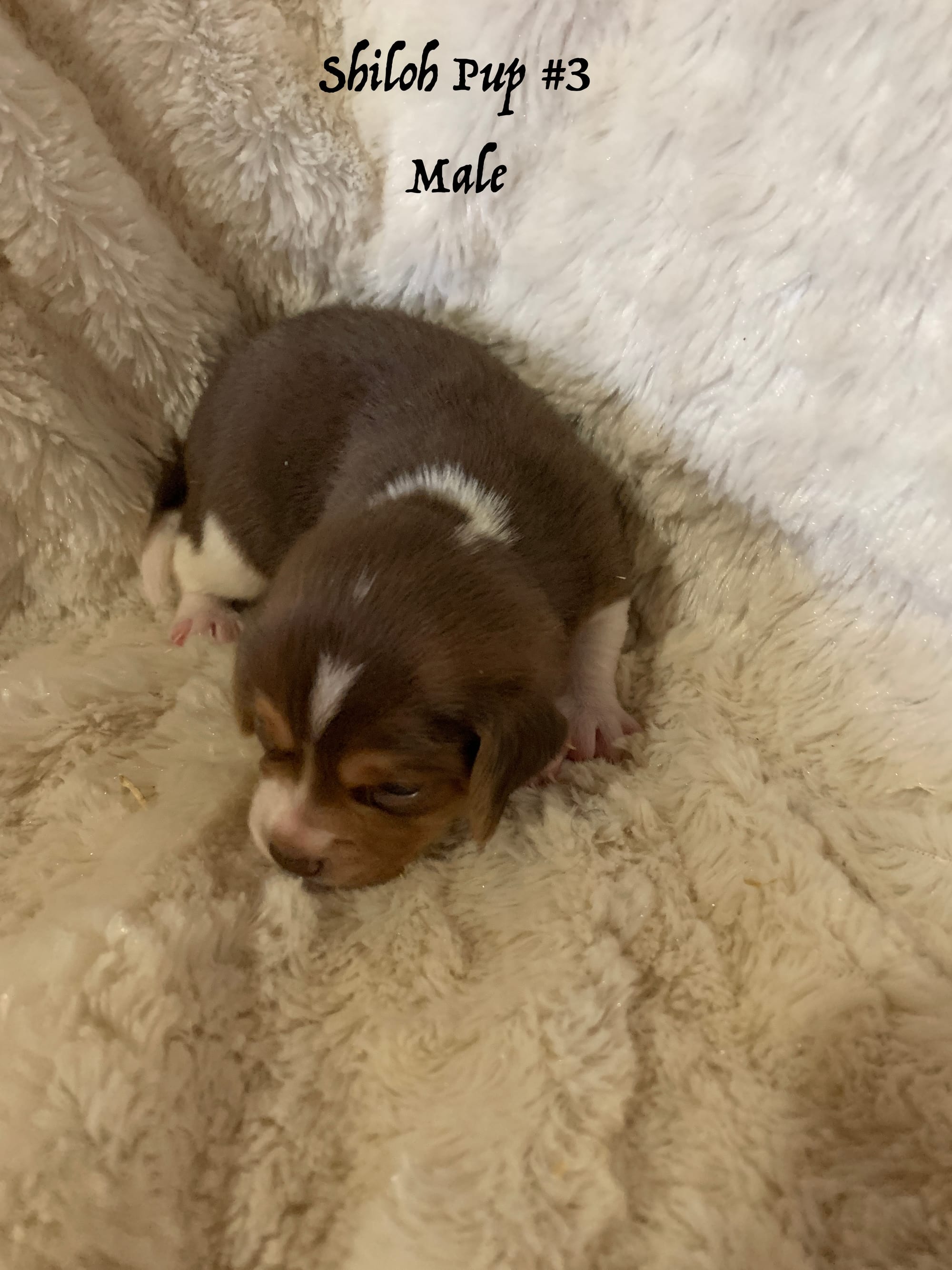 RVR/RDInc. - RAFTER V RANCH