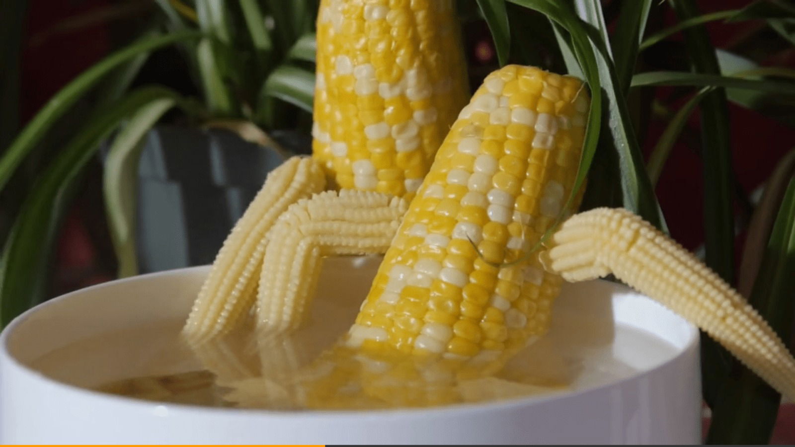 Cornhub