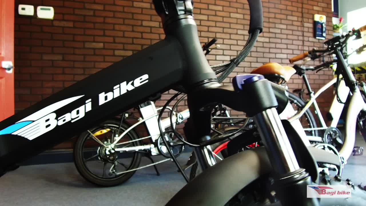 Bagibike USA