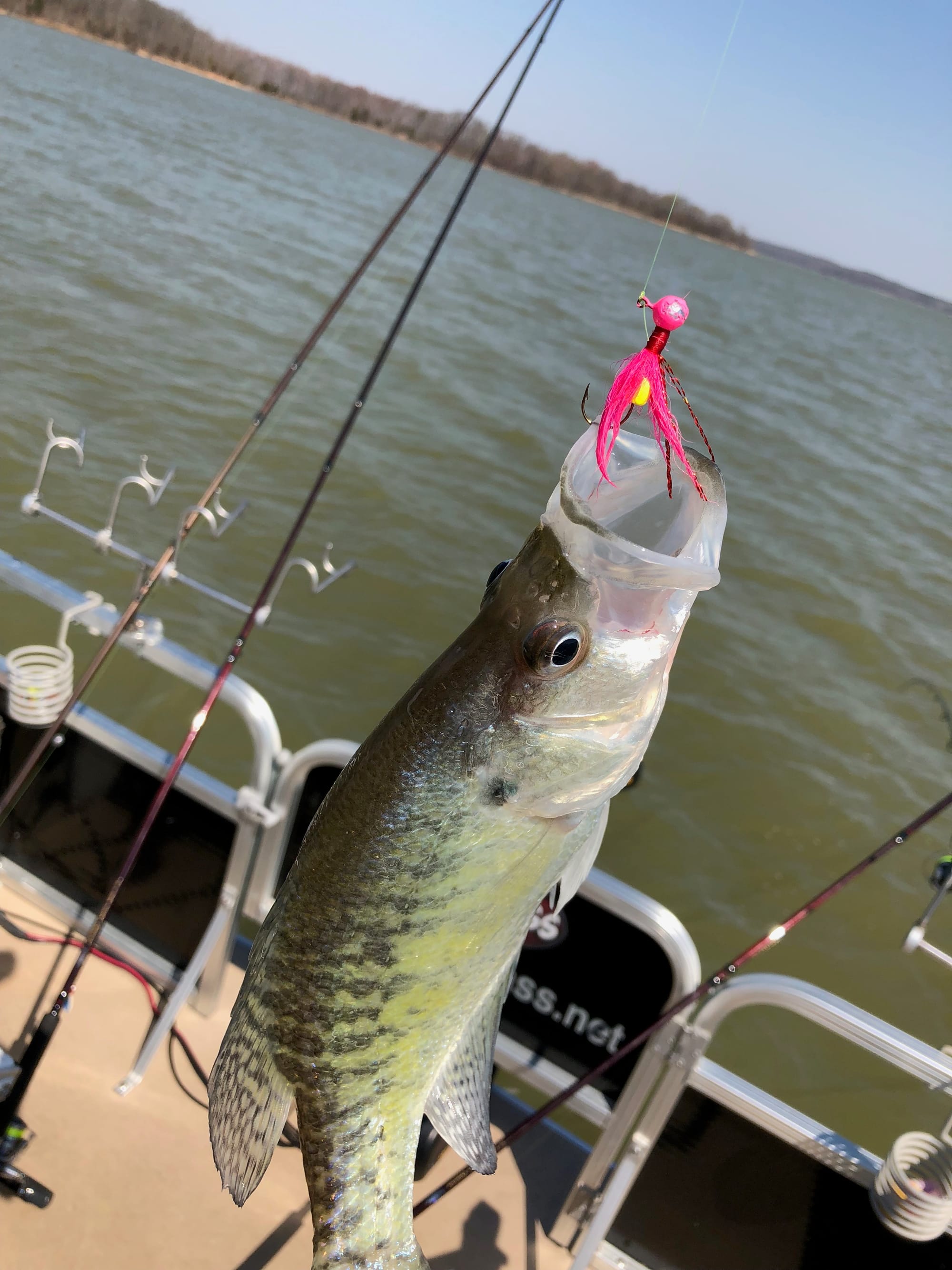 Kick'n Bass Guide Service, Pontoon Fishing Adventures on Kentucky Lake
