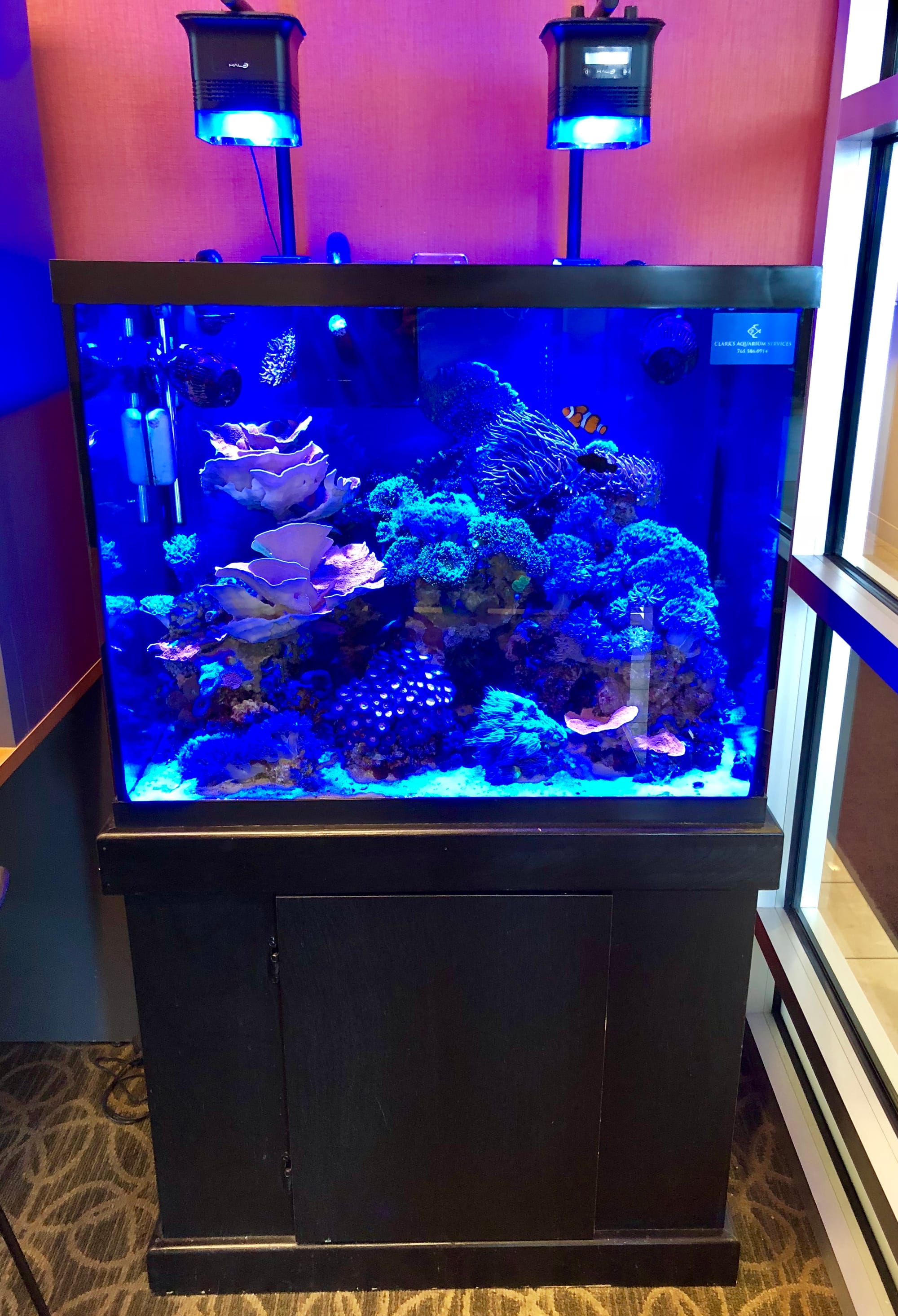 Clark's Aquarium Maintenance Service installs and maintains aquarium ...